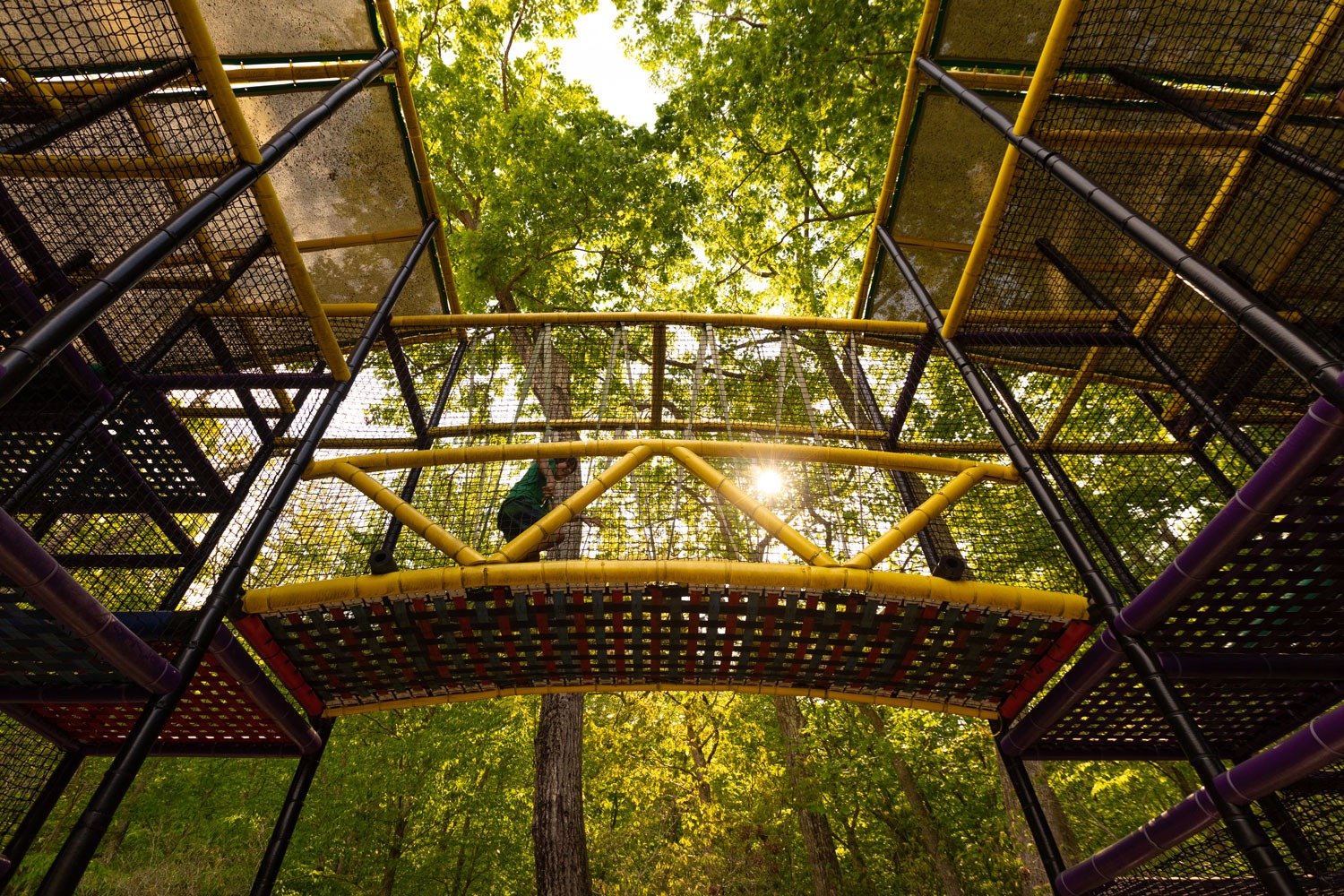 T-Rex Tower - Nature's Art Village