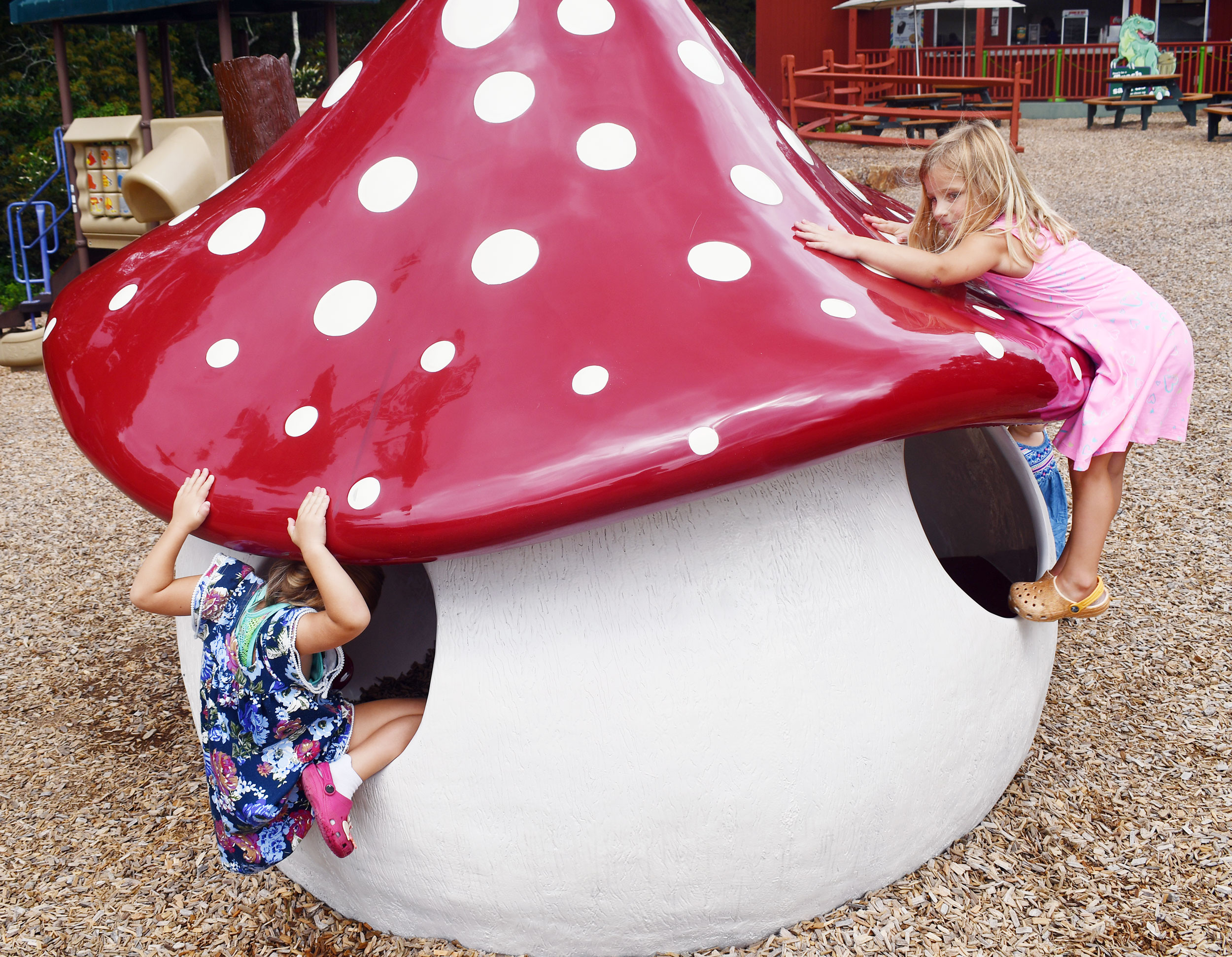 Monty’s Playground – Great Fun for all Kids - Nature's Art Village